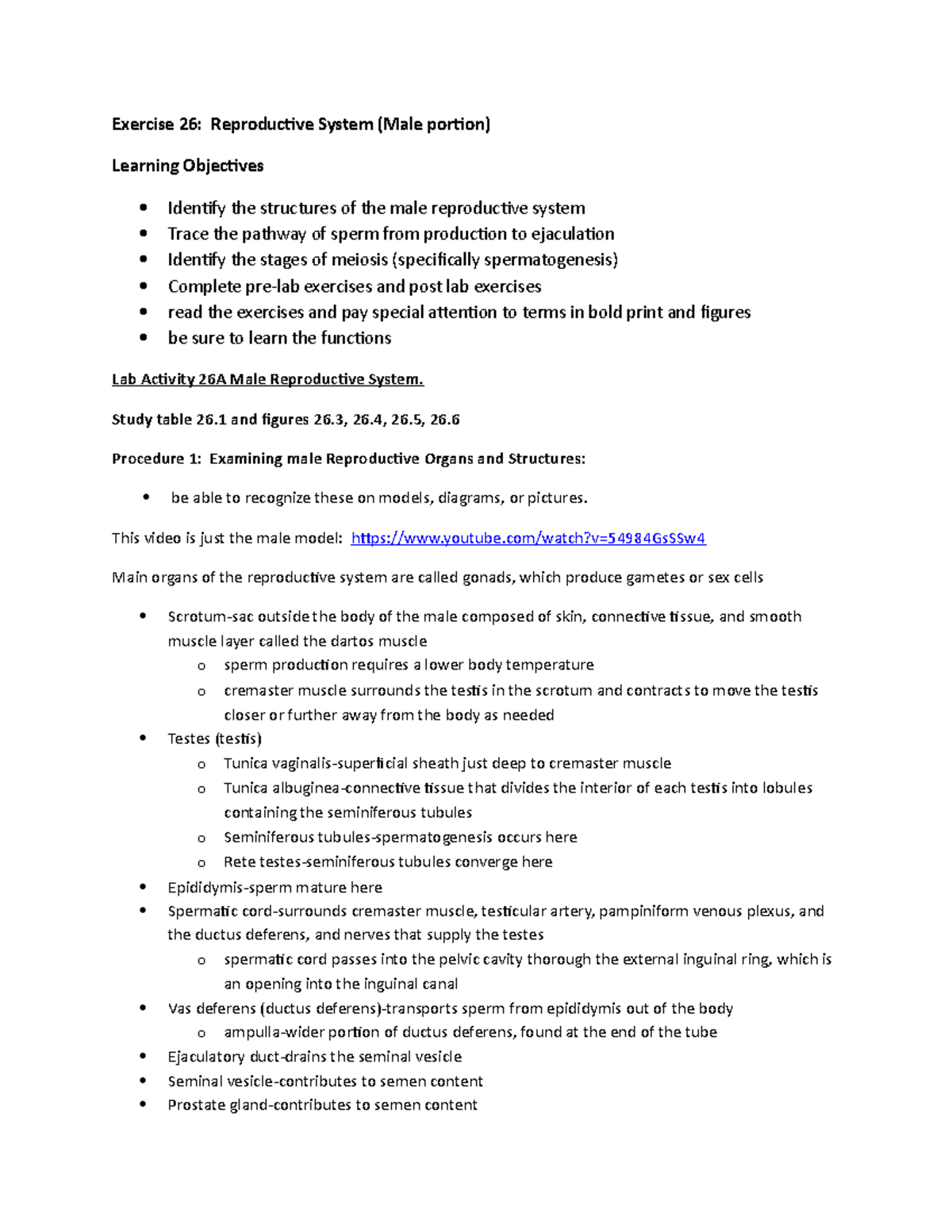 Exercise 26 Male reproductive system - Exercise 26: Reproductive System ...