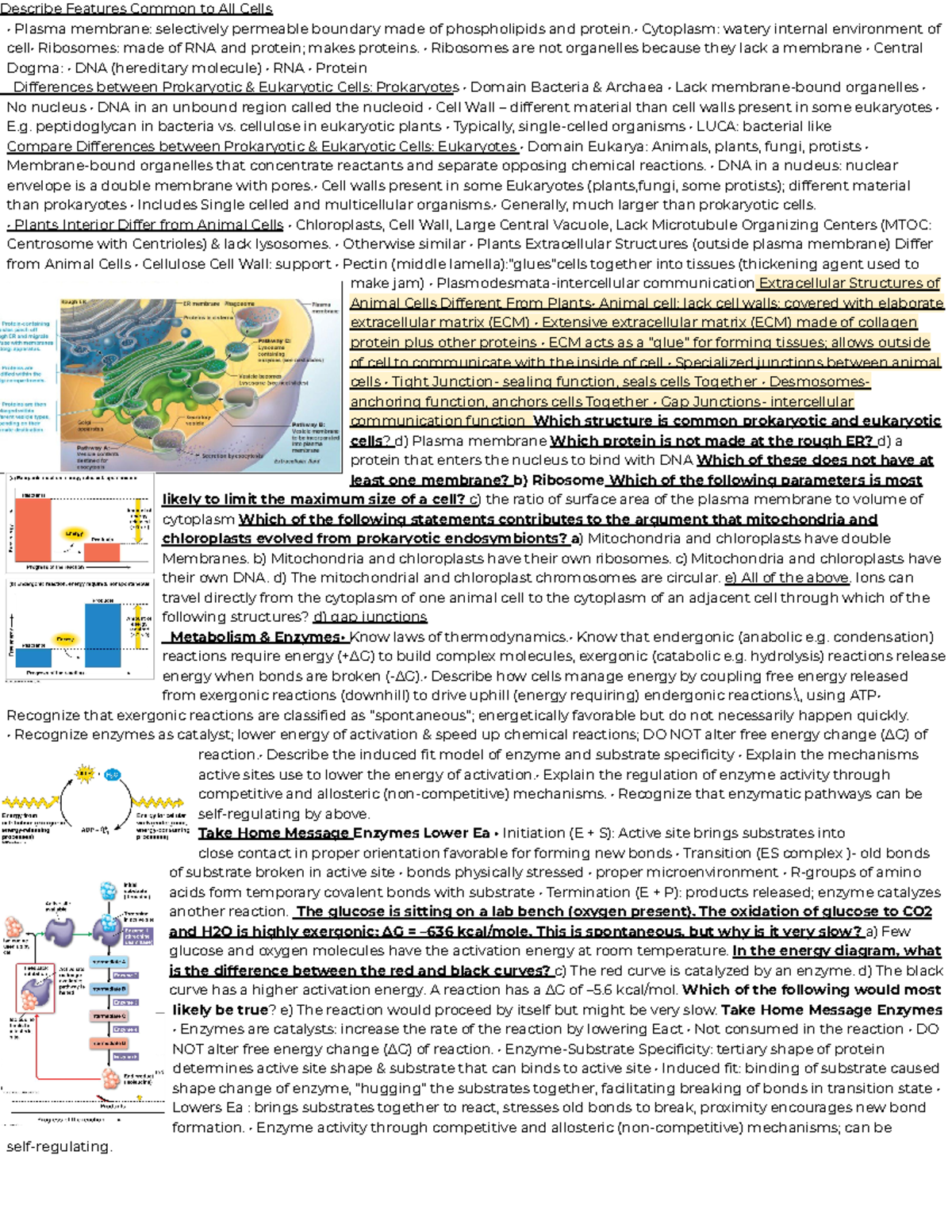 E2 exam 2 study guide - Describe Features Common to All Cells Plasma ...