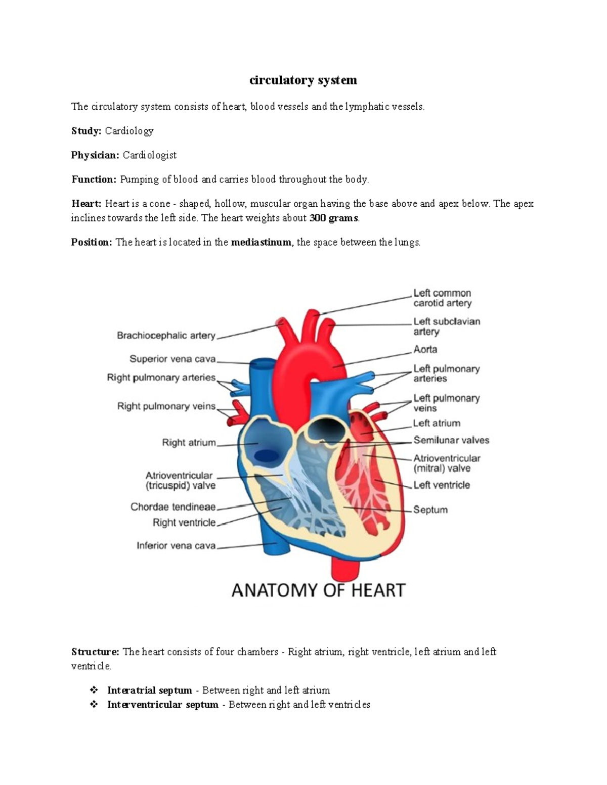 Circulatory system - that notes personaaly written by me - circulatory ...