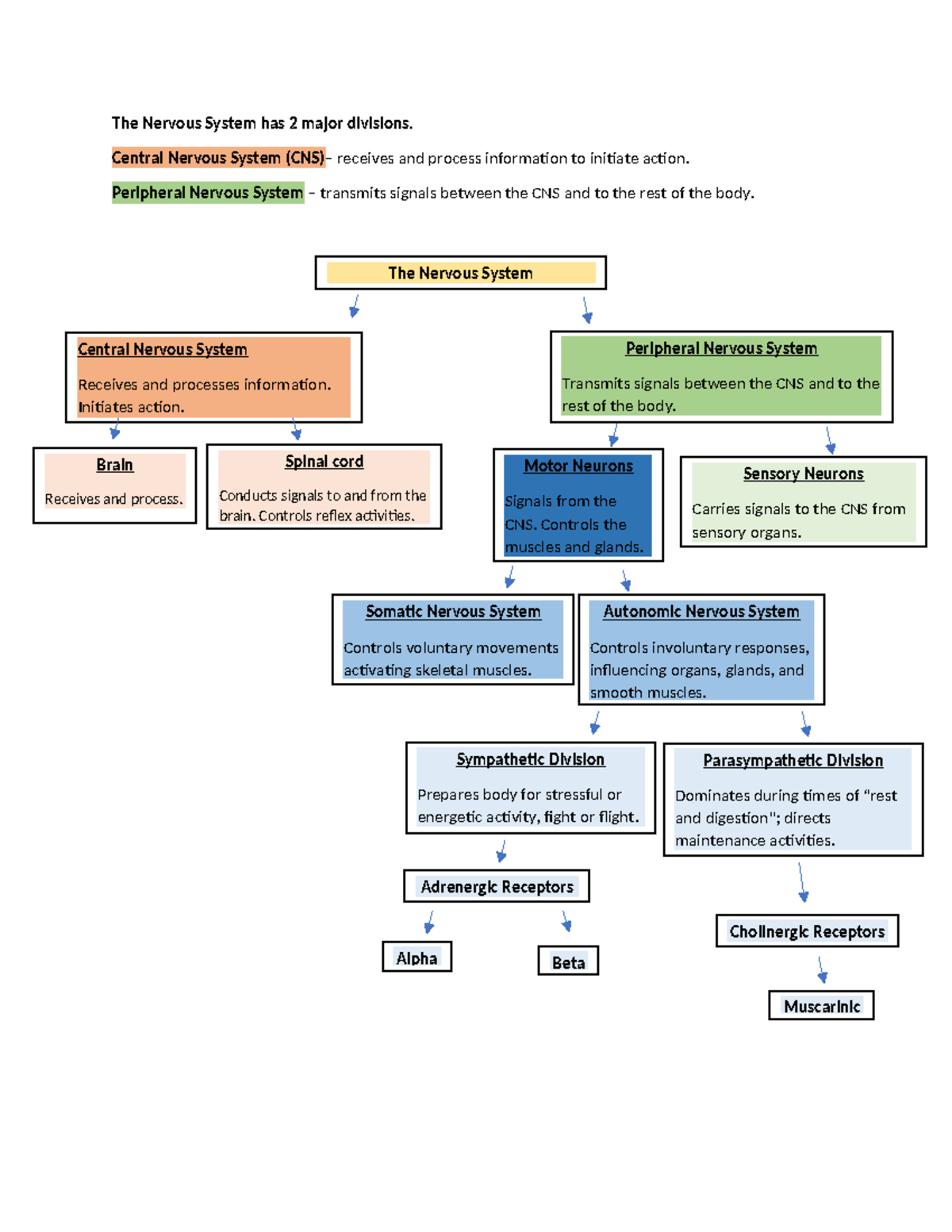 The Nervous System has 2 major divisions - Central Nervous System (CNS ...