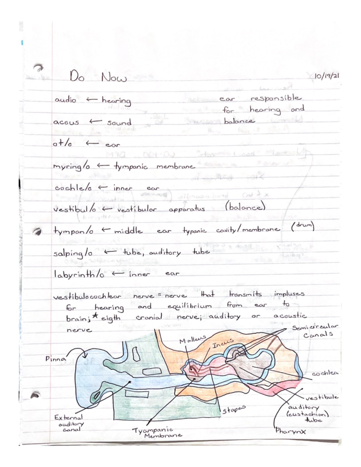 Random Notes to Study - 1:190:102:90 - Studocu