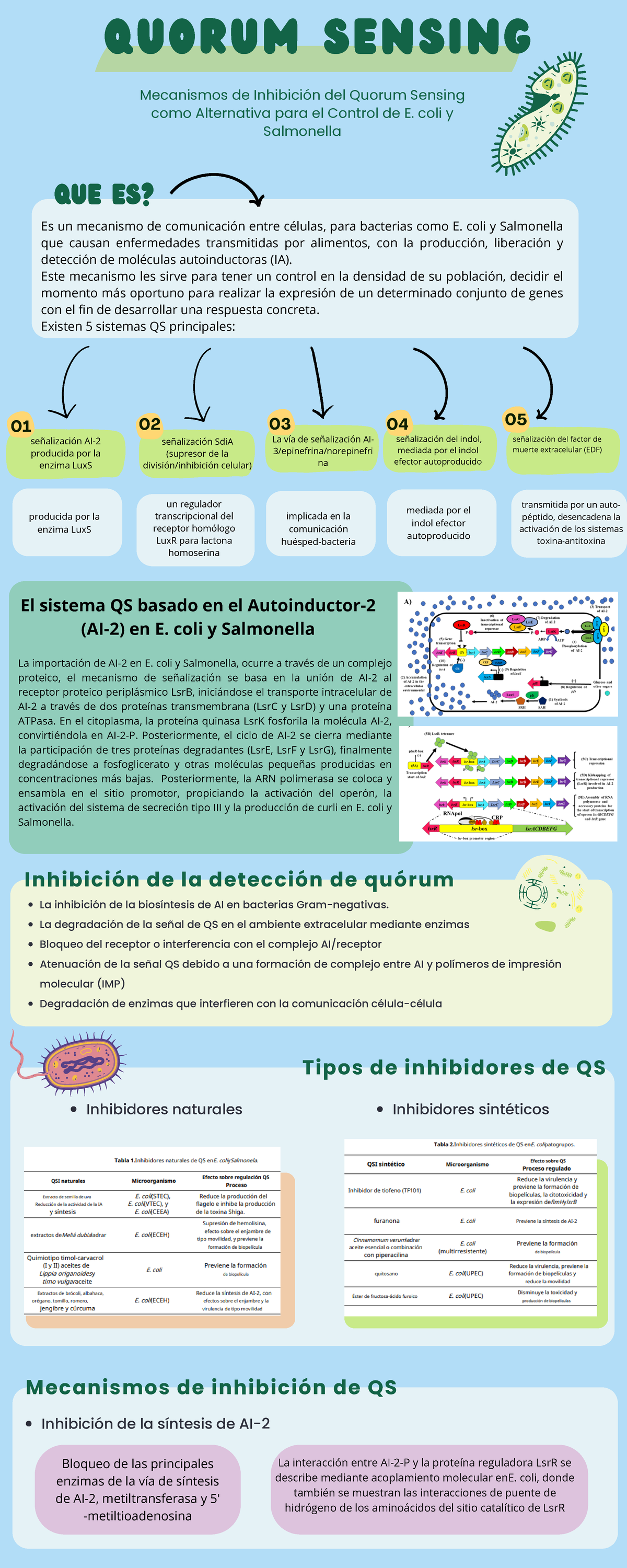 Infografia de QS - resumen QS - Quorum Sensing Mecanismos de Inhibición ...
