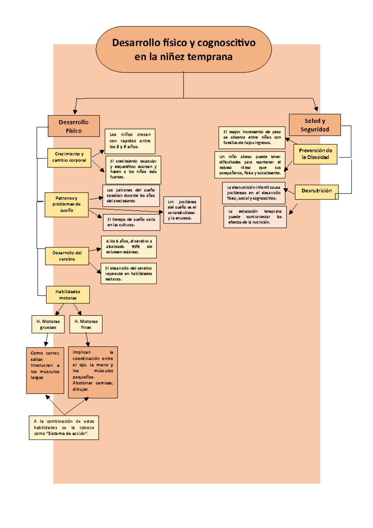 Papalia MAPA 17 - Desarrollo físico y cognoscitivo en la niñez temprana - Desarrollo físico y ...