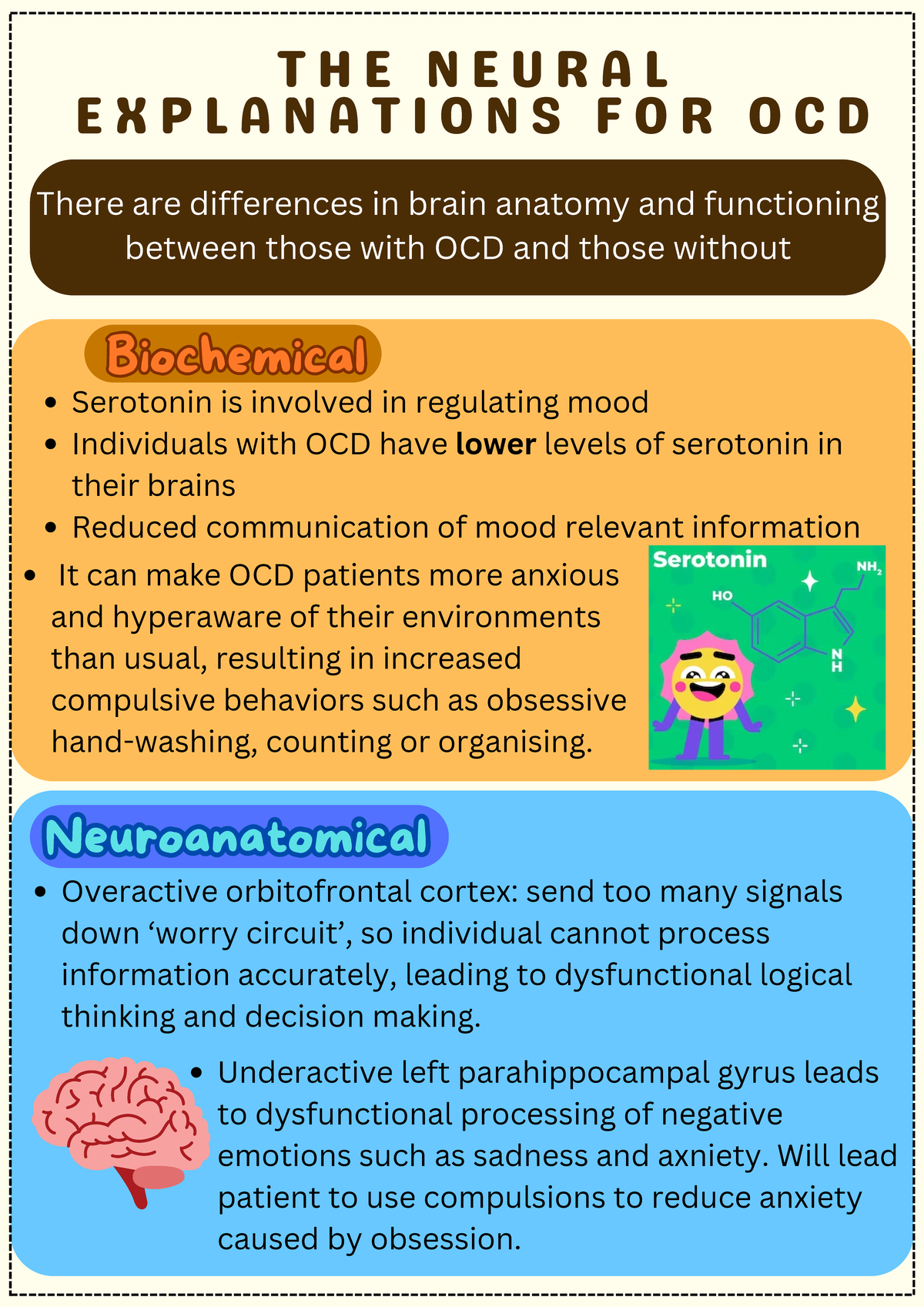 Neural explanations for OCD - tjtj It can make OCD patients more ...