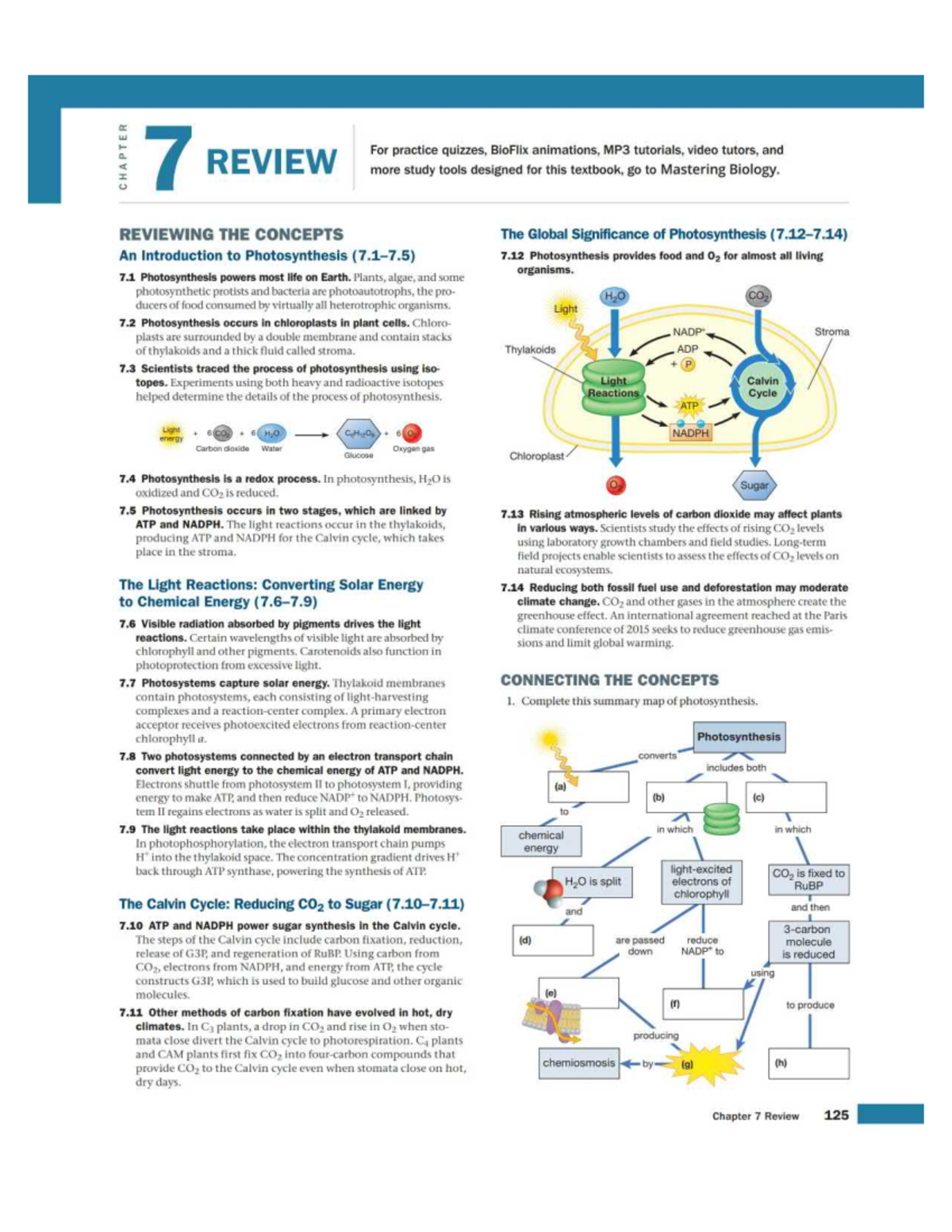Chapter 7 - Reviewing Key Concepts - et: UJ ####### .... Q.