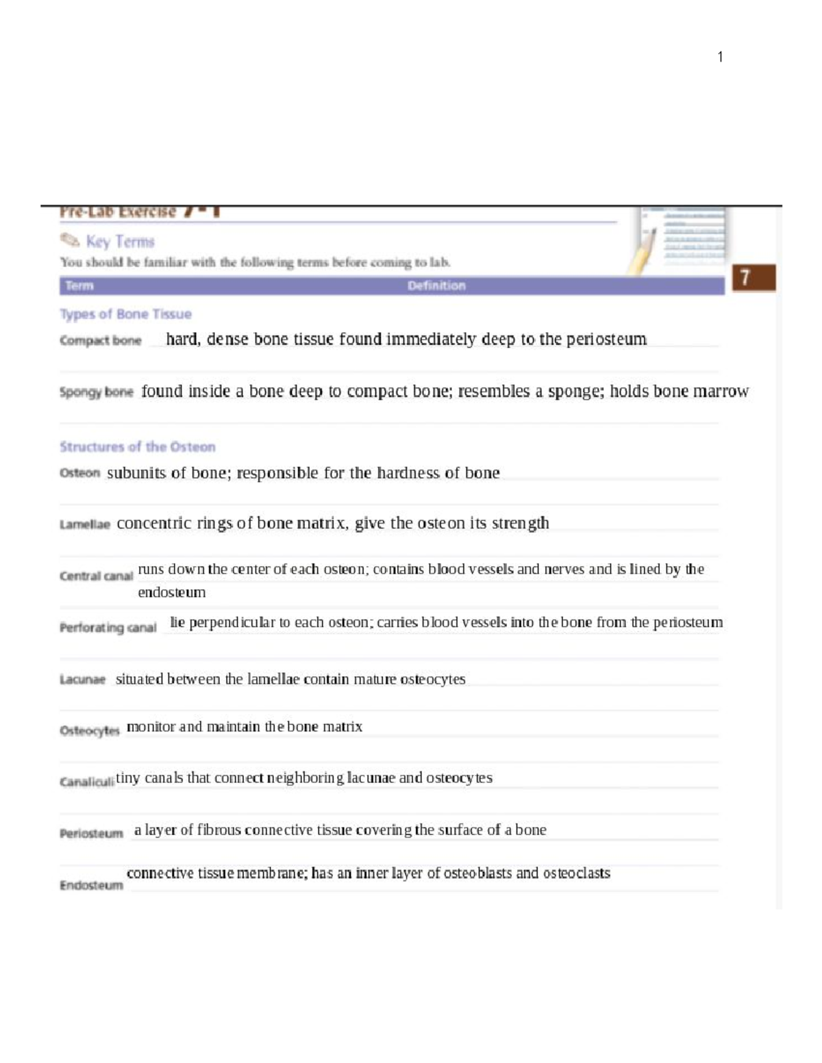 Unit 7: Introduction to the Skeletal System. Lab 7 - Exercise 7 ...