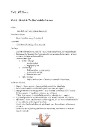 Human vision and function Part 1 Perception of objects Bovine (cow) eye ...