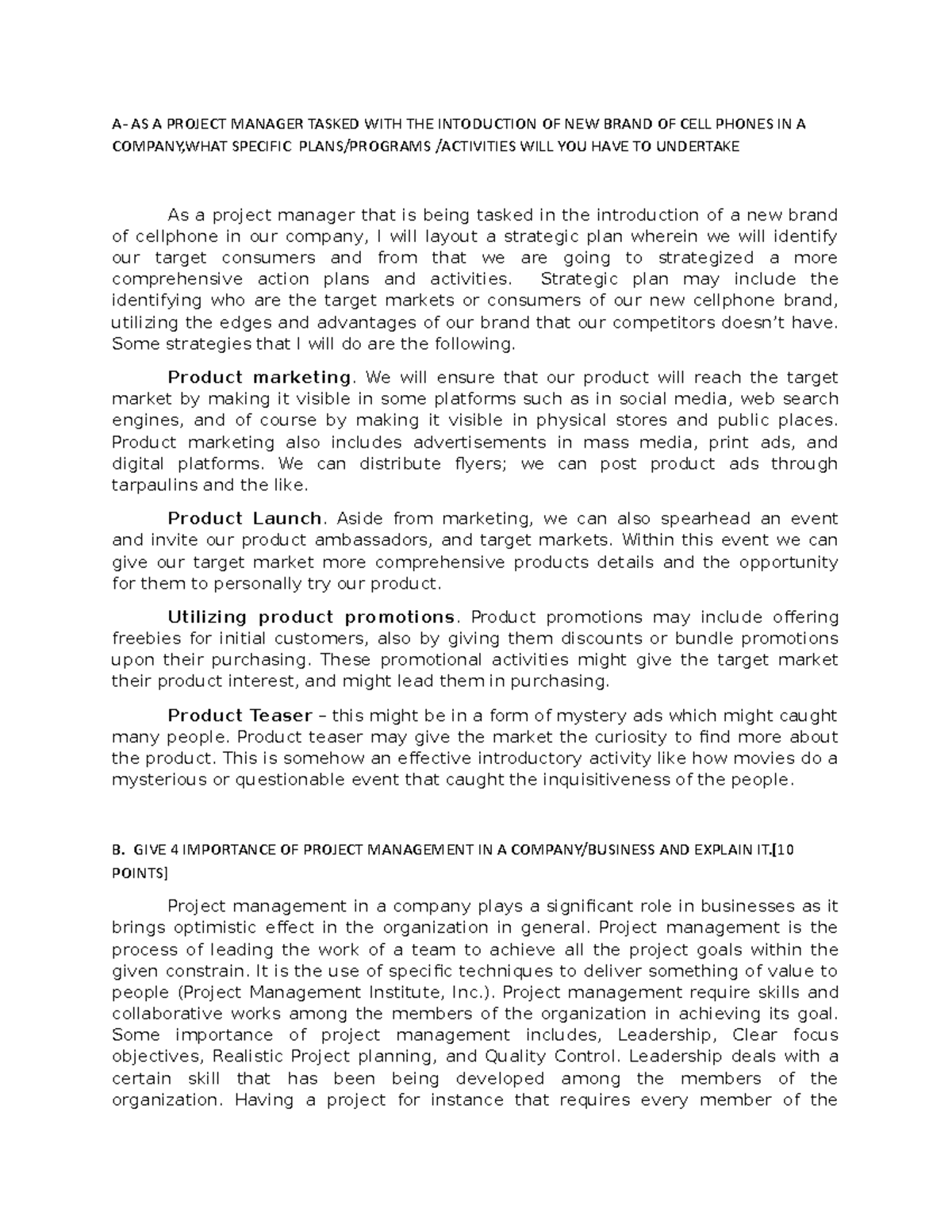 Nico Assignment - A- AS A PROJECT MANAGER TASKED WITH THE INTODUCTION ...