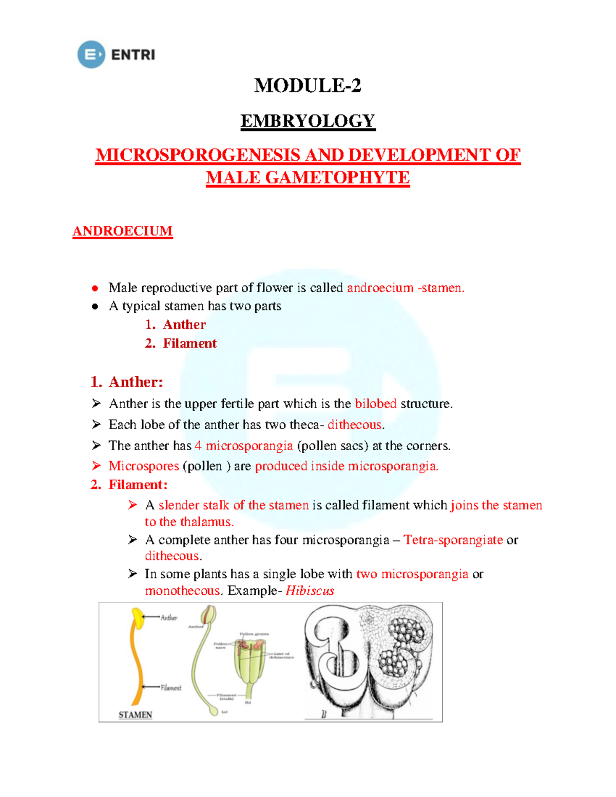 Embryology - Plant anatomy - MODULE- EMBRYOLOGY MICROSPOROGENESIS AND ...