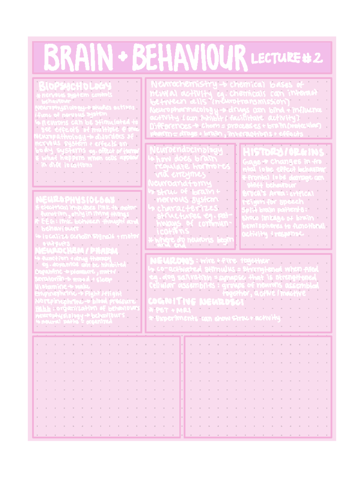 Psyc271 Lecture 2 Notes Brain Behaviour Lecture 2 Biopsychology