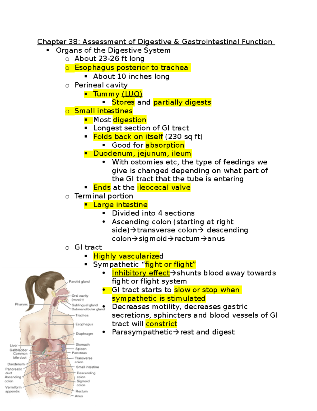 WK1 notes updated - Amanda Hub - Chapter 38: Assessment of Digestive ...