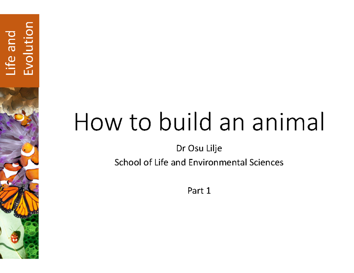 L23 How to build an animal slides - How to build an animal Dr Osu Lilje ...