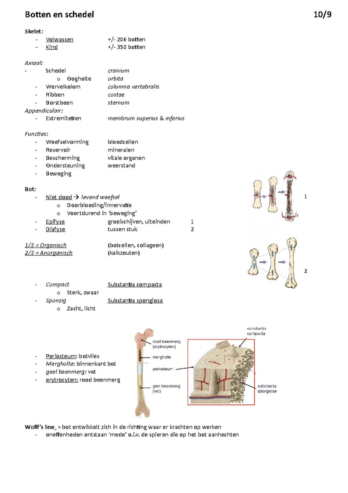 Botten en schedel - i. de spieren die op het bot aanhechten Veel ...