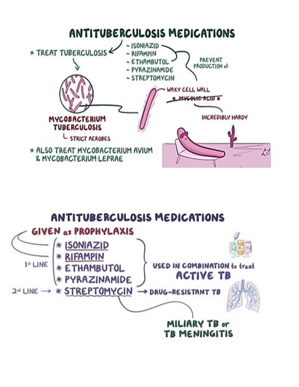 Pharma TB drugs - For visual learners - ANTITUBERCULOSIS MEDICATIONS ...