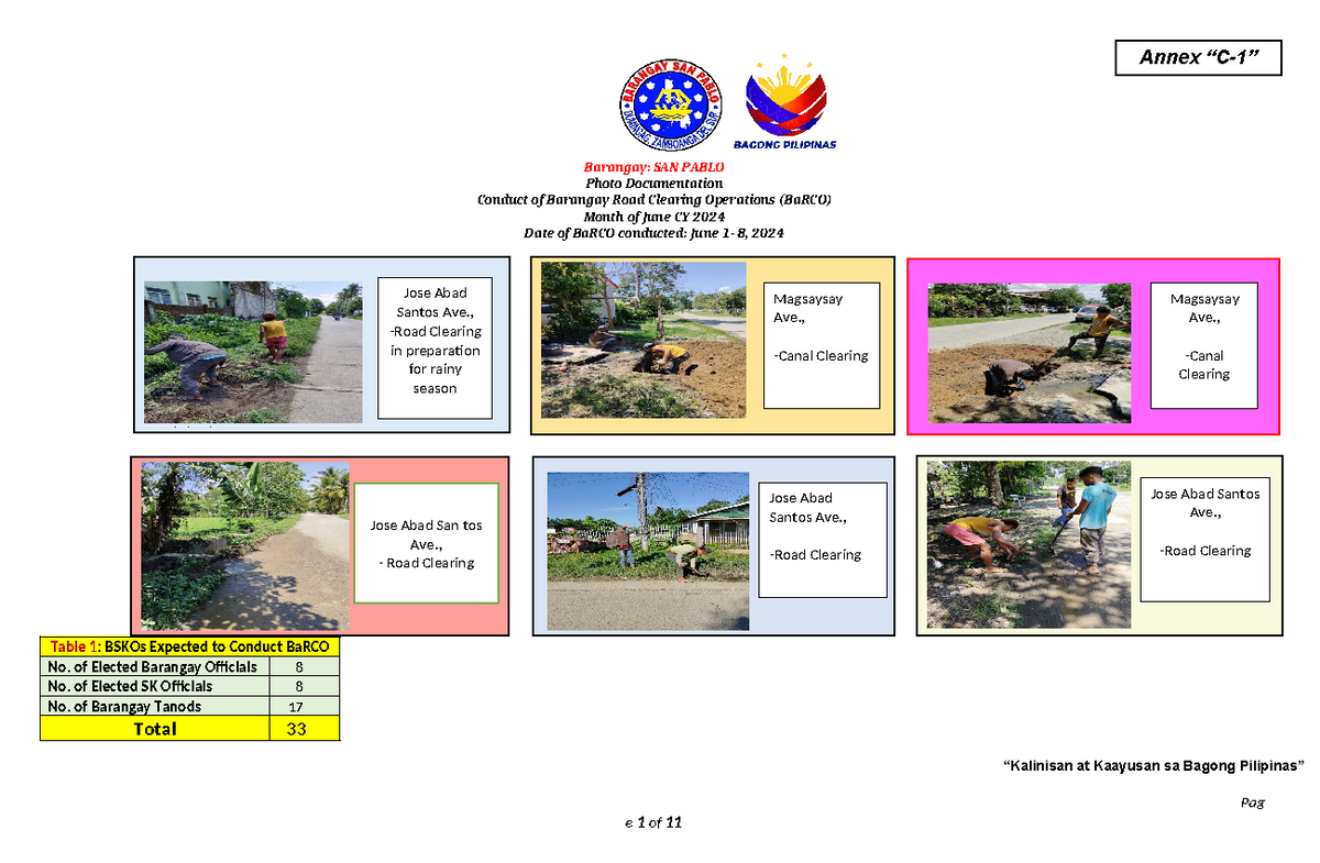 Annex C1 ROAD Clearing Report - Barangay: SAN PABLO Photo Documentation ...