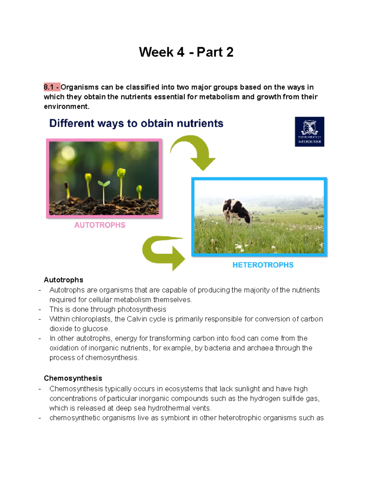 Bio week 4 - IT contains summarised notes of week 4's lecture contents ...