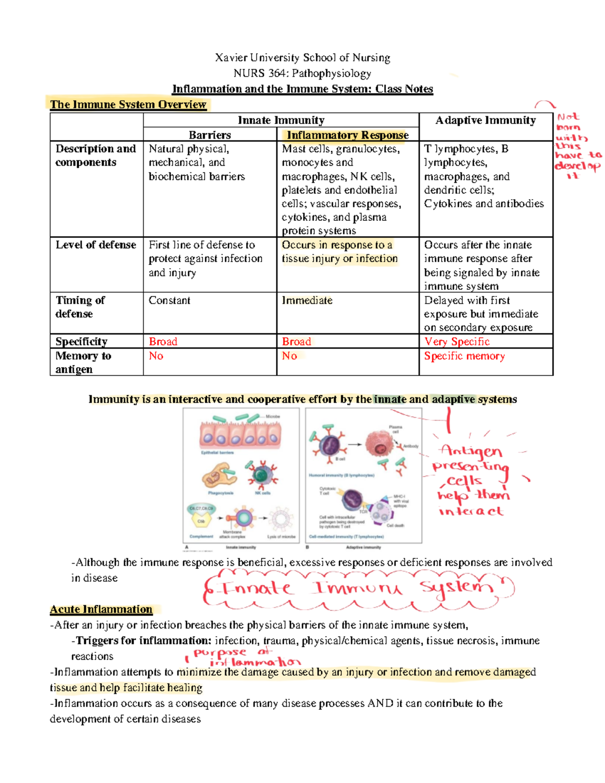 Inflammation+and+the+Immune+System+Class+Notes+364+ Answers - Xavier ...