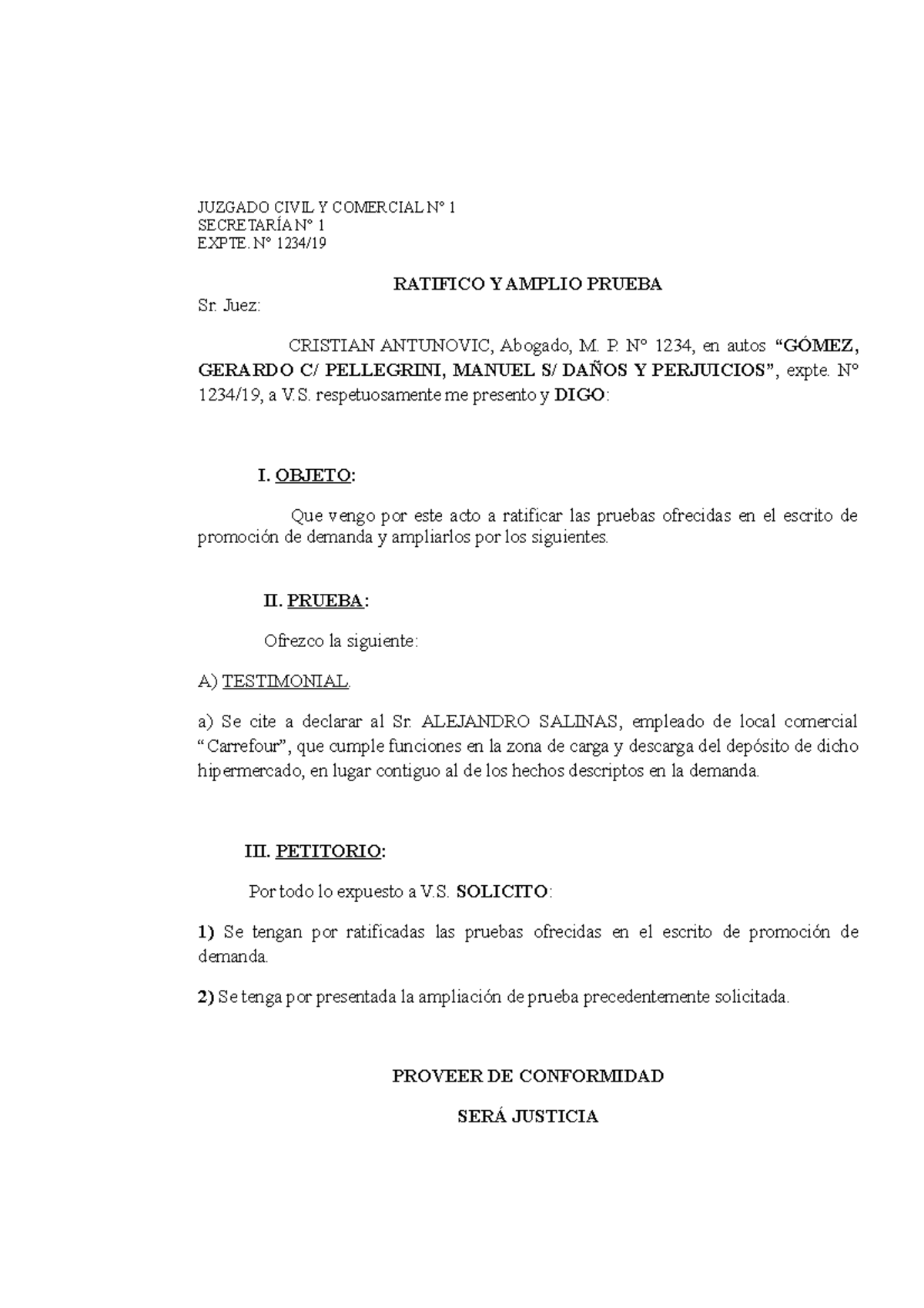 11 ratifico y amplío prueba - JUZGADO CIVIL Y COMERCIAL N° 1 SECRETARÍA ...