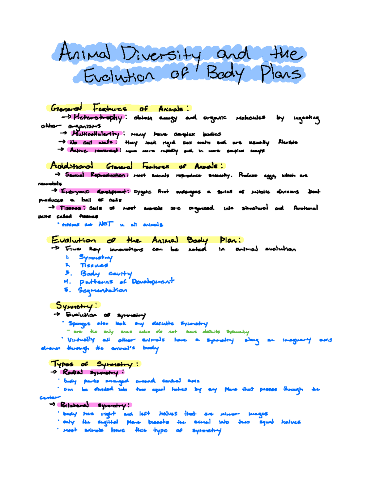 (12) Chapter 32 Animal Diversity and the Evolution of Body Plans - BIO ...