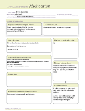 Active Learning Template Basic Concept - ACTIVE LEARNING TEMPLATES ...