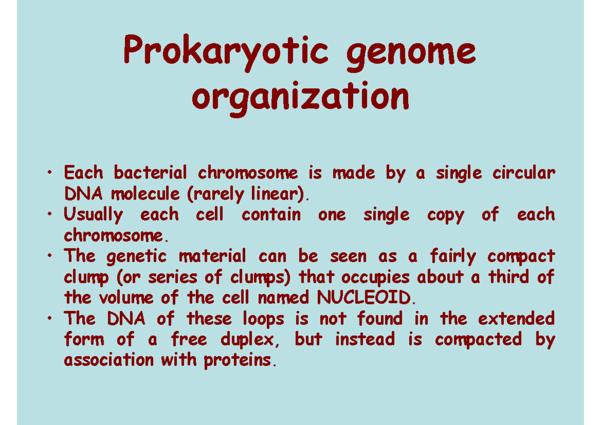 Bacterial genomics and Prokaryotic gene organisation - Prokaryotic ...