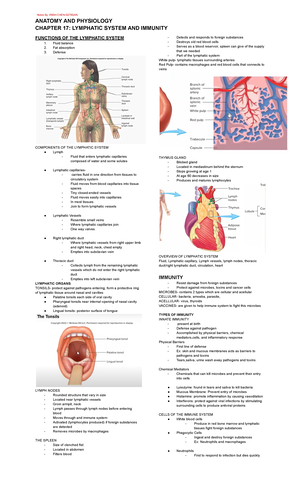 Anaphy- Blood Vessels AND Circulation Notes - ANATOMY AND PHYSIOLOGY ...