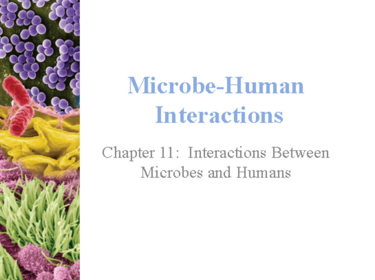 15-16 Microbe-human interactions 21-1 - Microbe-Human Interactions ...