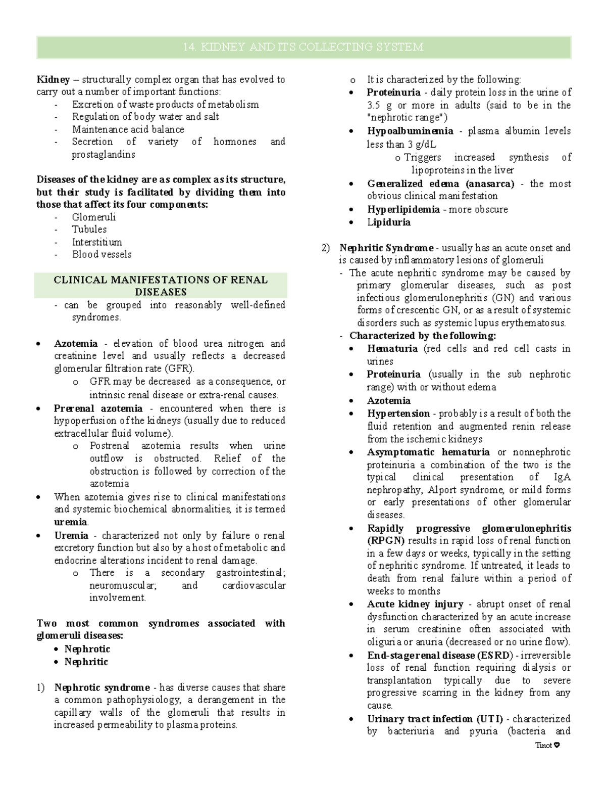Clinic DENT Prelim - Dentistry Lecture Notes - Kidney – structurally ...
