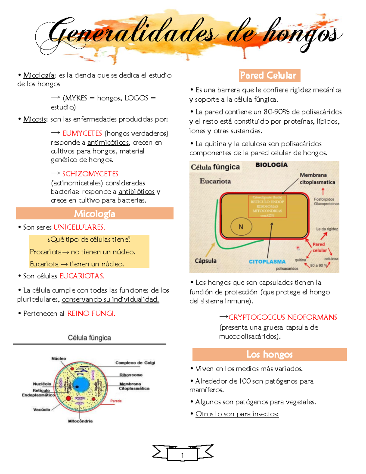 Generalidades de hongos ana2 - Micología: es la ciencia que se dedica ...