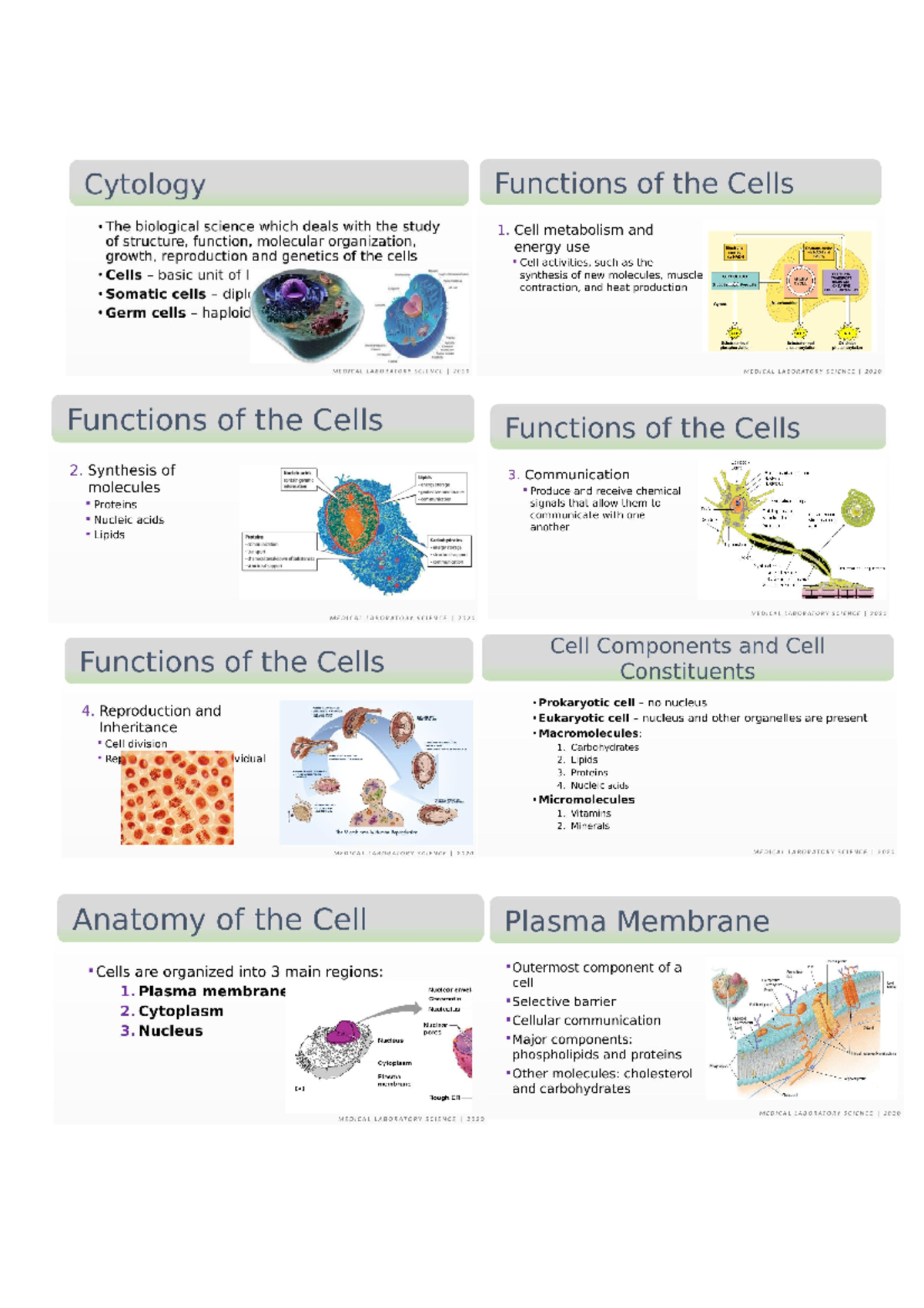 Prelim- Notes-II - cyto notes - Medical Laboratory Science - Studocu