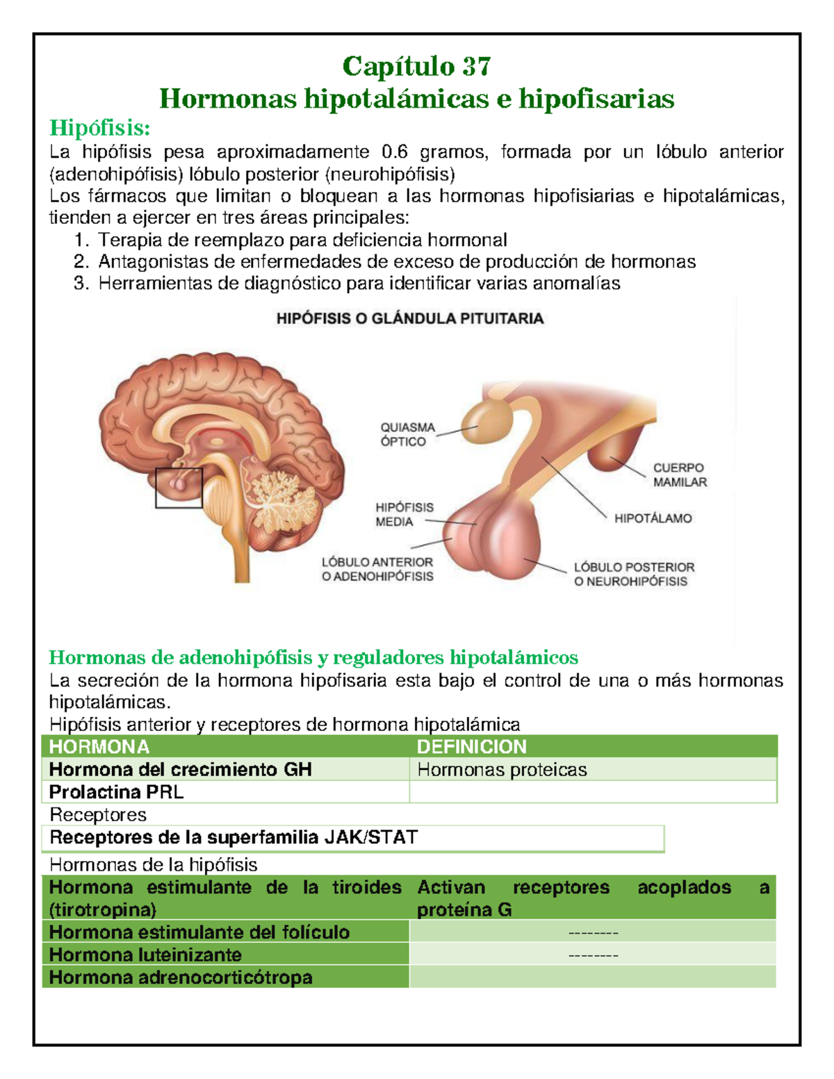 Capitulo 37 - CapÌtulo 37 Hormonas hipotal·micas e hipofisarias ...