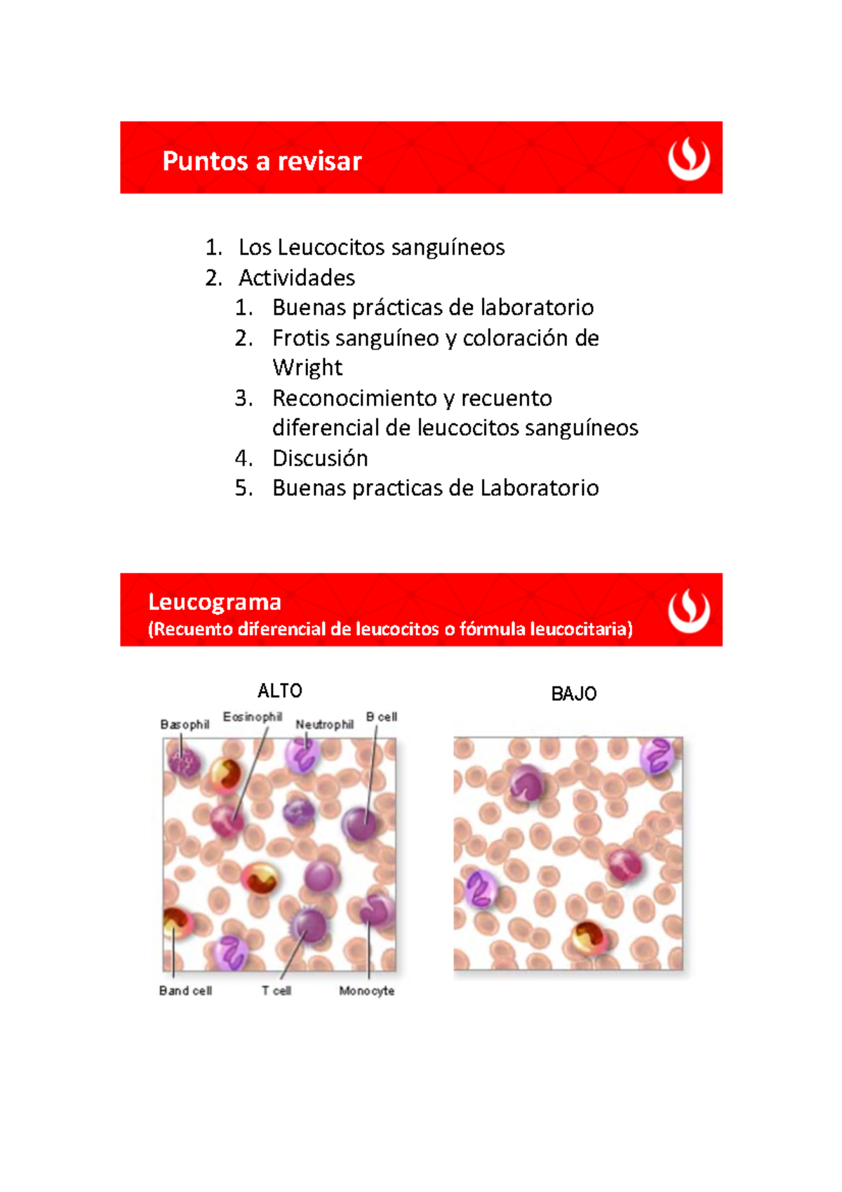 Doc2 - Resumen - Leucograma (Recuento diferencial de leucocitos o ...