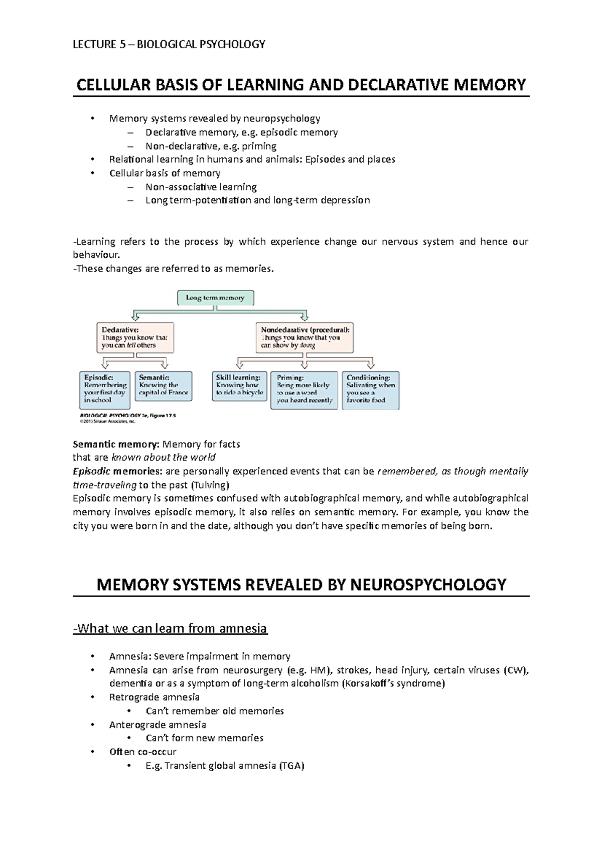 LEARNING AND MEMORY - Lecture 5 - LECTURE 5 – BIOLOGICAL PSYCHOLOGY ...