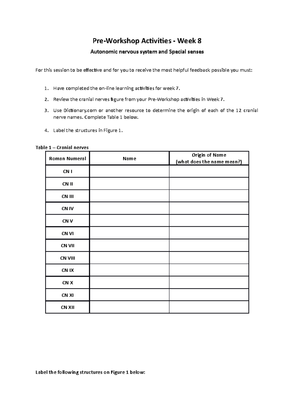 HBS1HBB Pre-Workshop Activities 8 2020 - Pre-Workshop Activities - Week ...