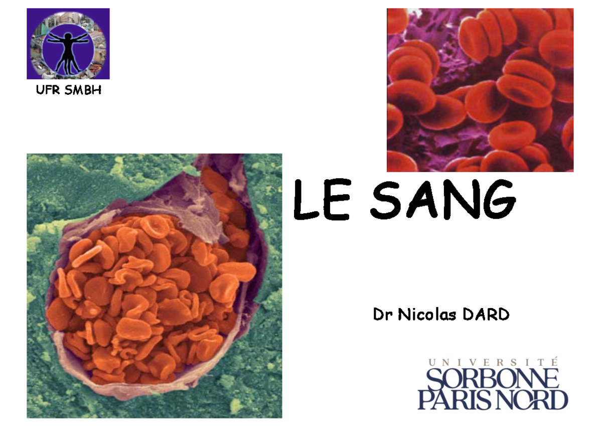 Sang 2023-24 - LE SANG Dr Nicolas DARD UFR SMBH Caractéristiques ...