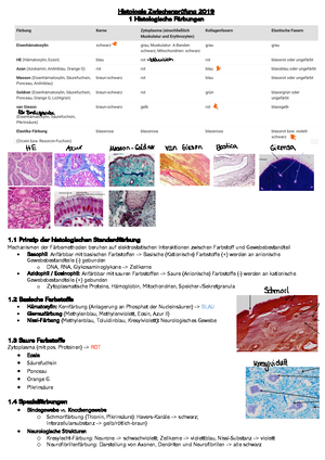 Für die Fachsprachprüfung Alaji Khzama - Für die Fachsprachprüfung ...