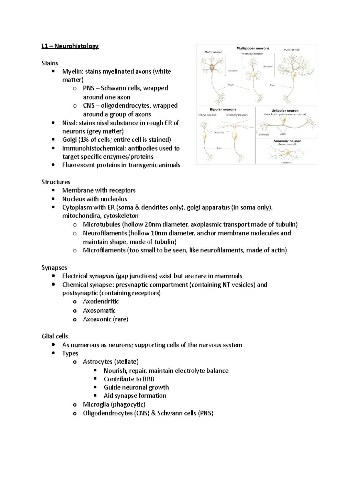 Lecture Notes Part 1 - L1 – Neurohistology Stains Myelin: stains ...