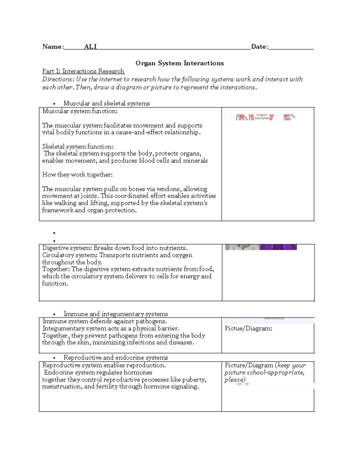 Organ System Interactions (4) - Name: ALI Date: Organ System ...