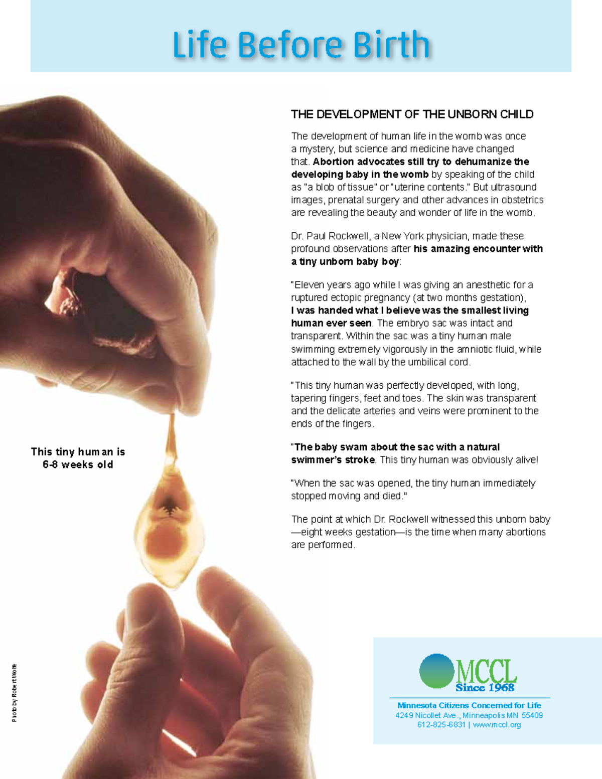 Life B4 Birth 14web - Bjaaj - The developmenT of The unborn child The ...