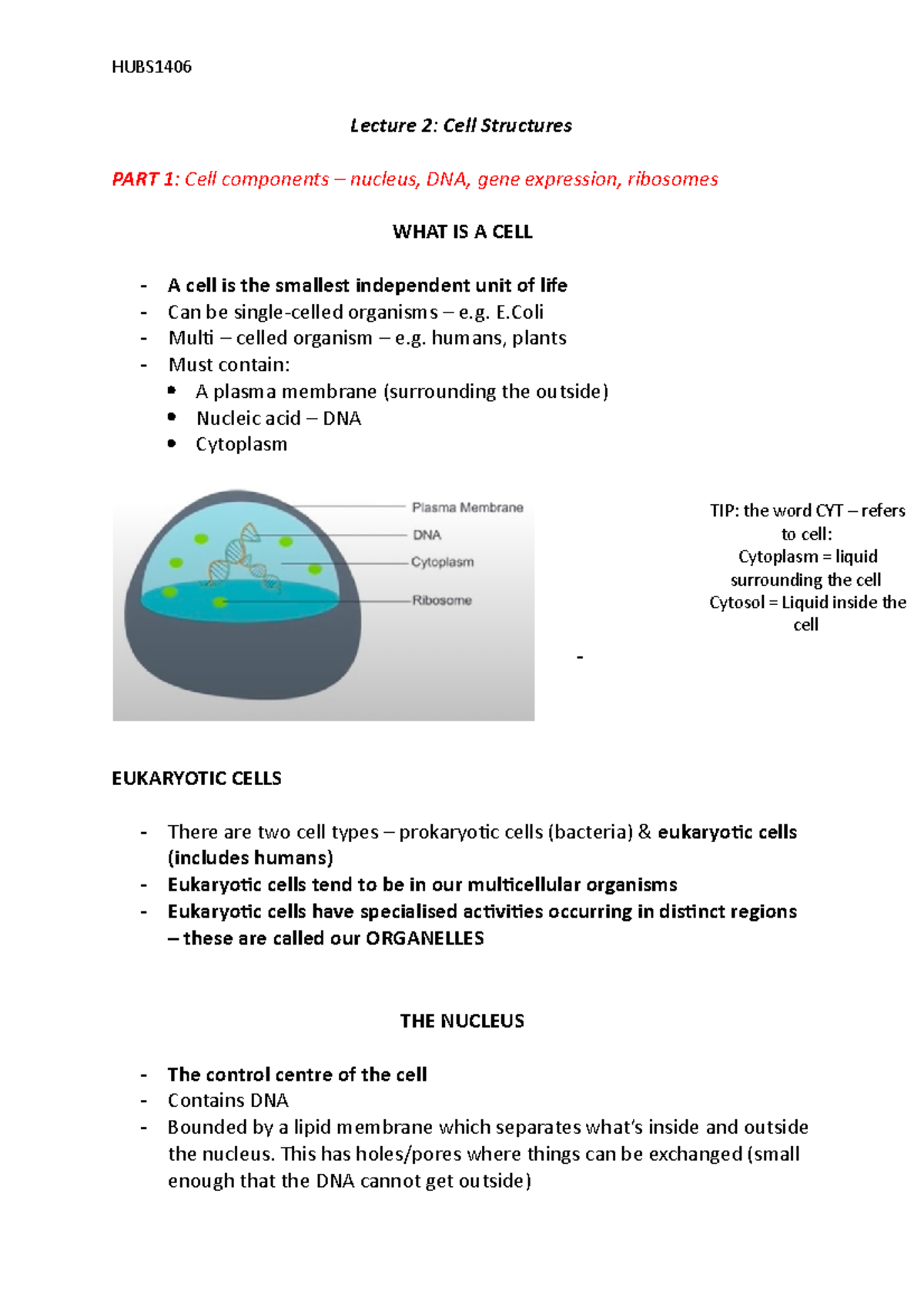 Cell Structure - L2 HUBS1406 - Lecture 2: Cell Structures PART 1: Cell ...