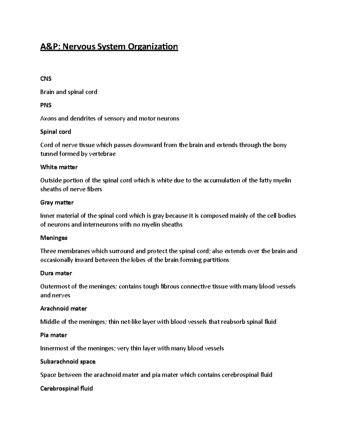 A P Lab Diagrams Nervous System Map Of Nerves In Human Body
