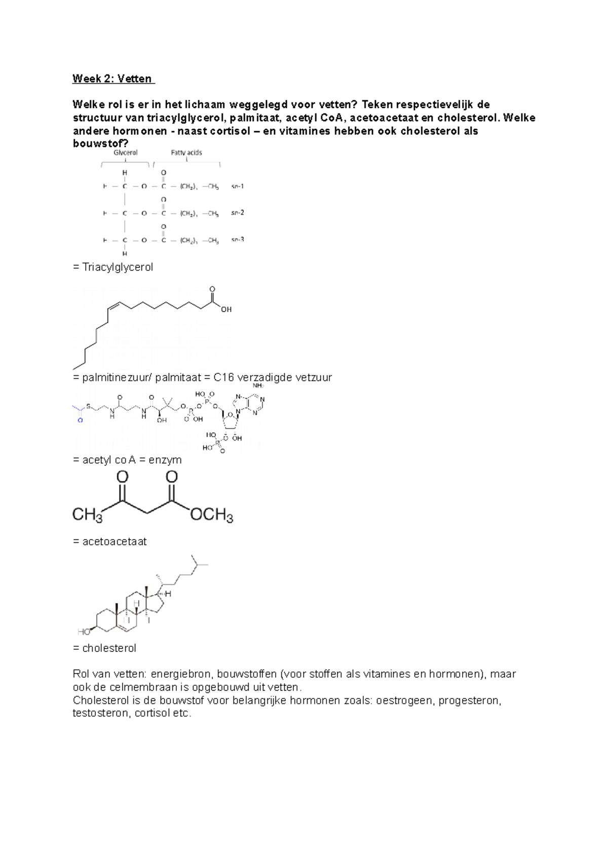 Thema 2 Vetten - Week 2: Vetten Welke rol is er in het lichaam ...