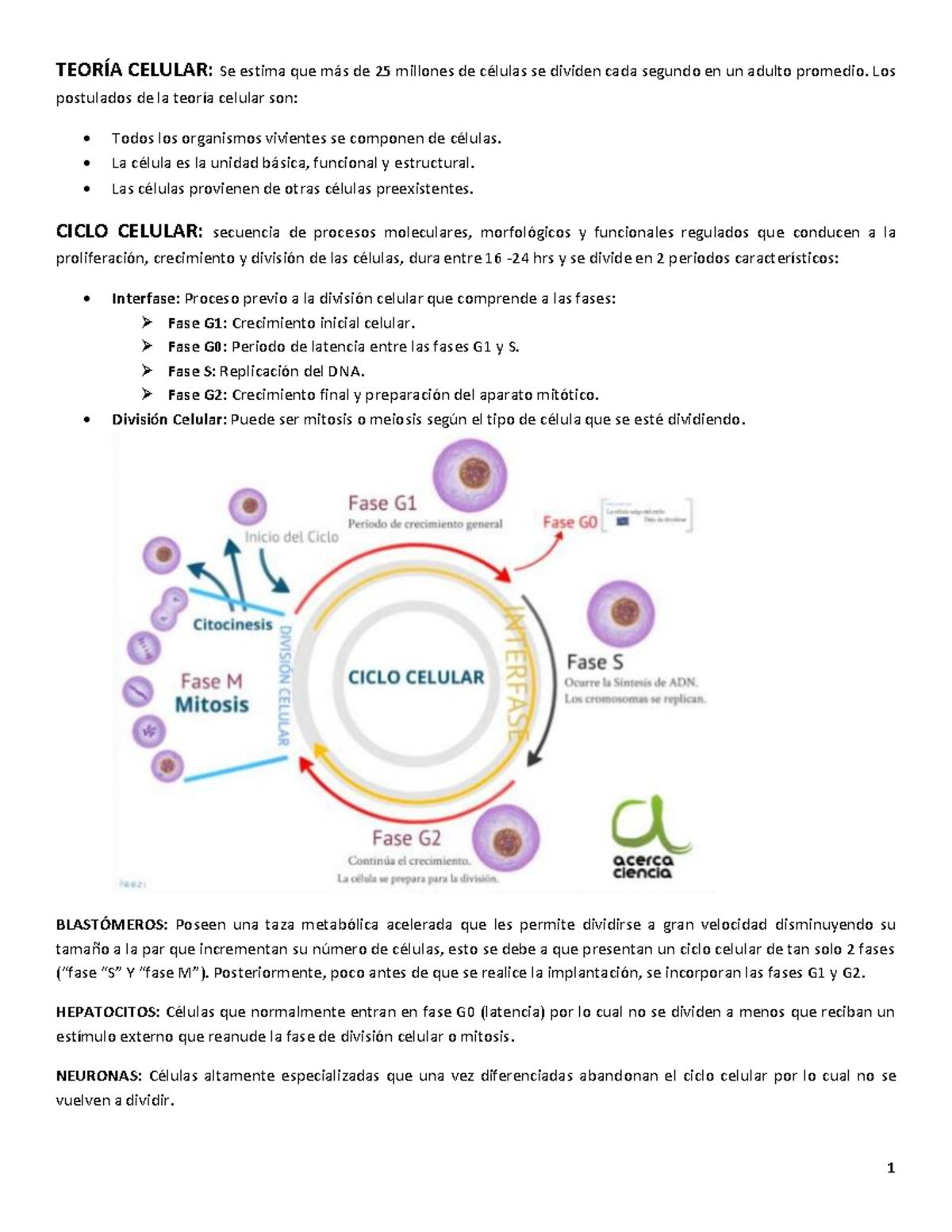 Capitulo 3 Ciclo Celular - TEORÍA CELULAR: Se estima que más de 25 ...