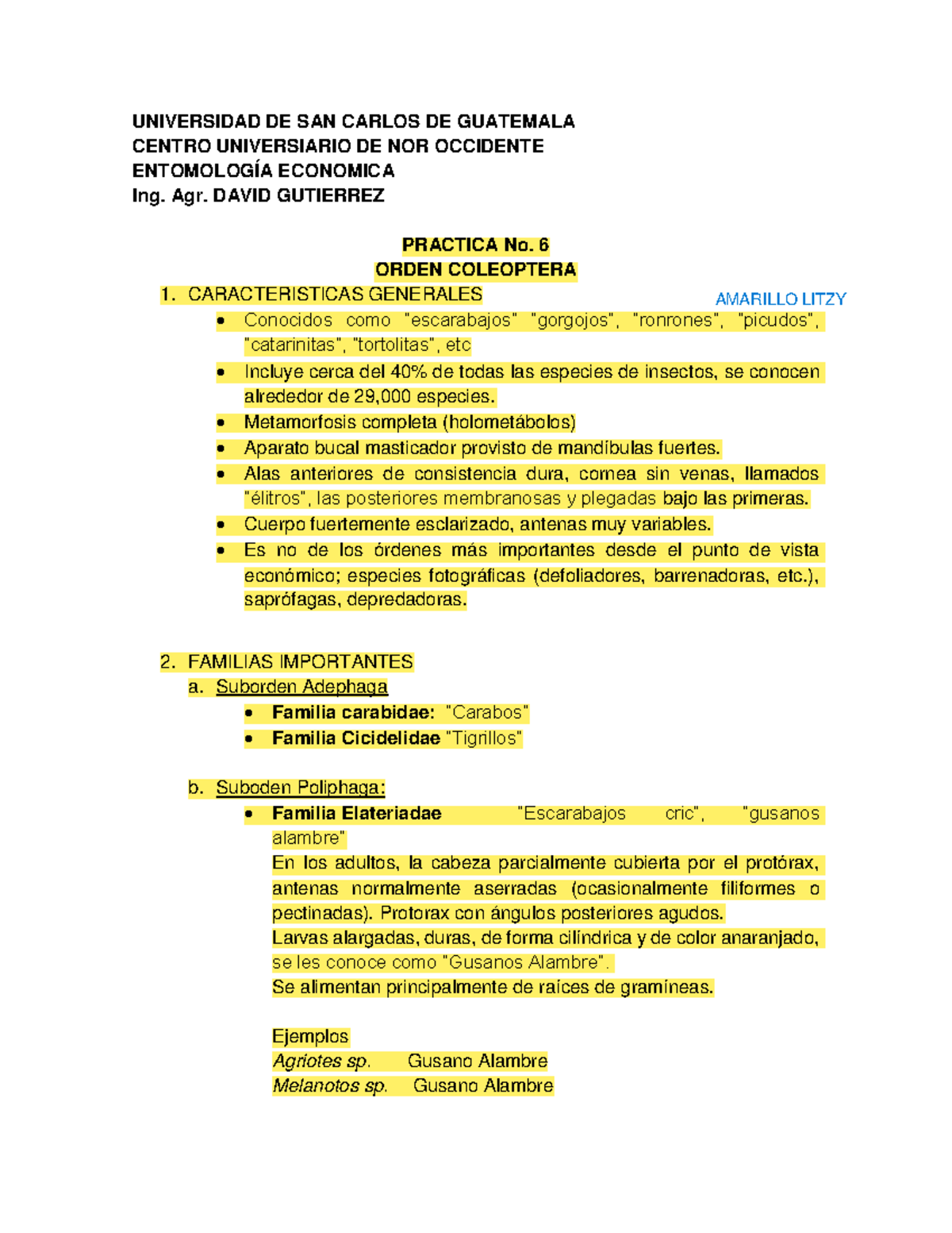 Laboratorio NO.6 Coleoptera Distribuido - UNIVERSIDAD DE SAN CARLOS DE ...