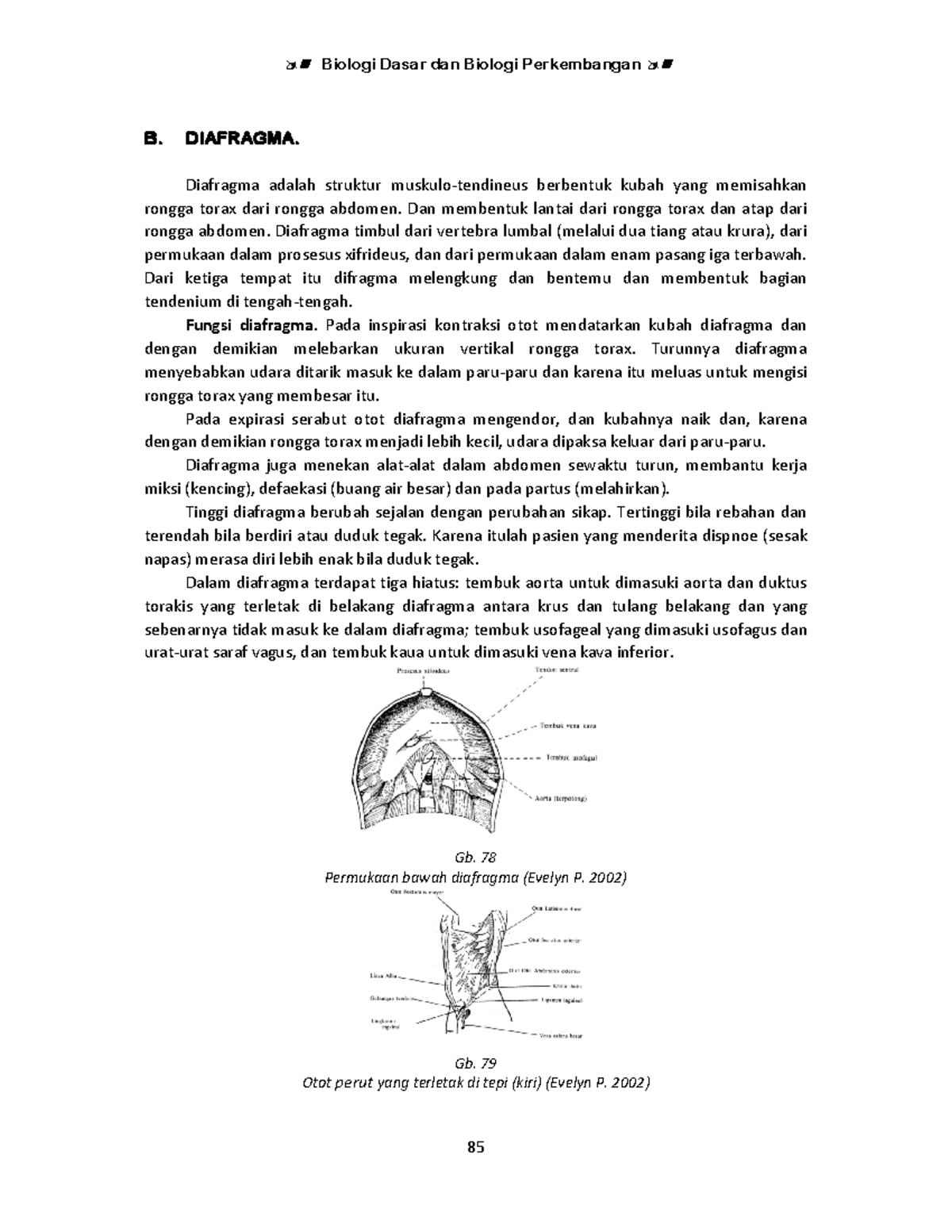 Anatomi Fisiologi SEL Manusia - Biologi Dasar dan Biologi Perkembangan ...