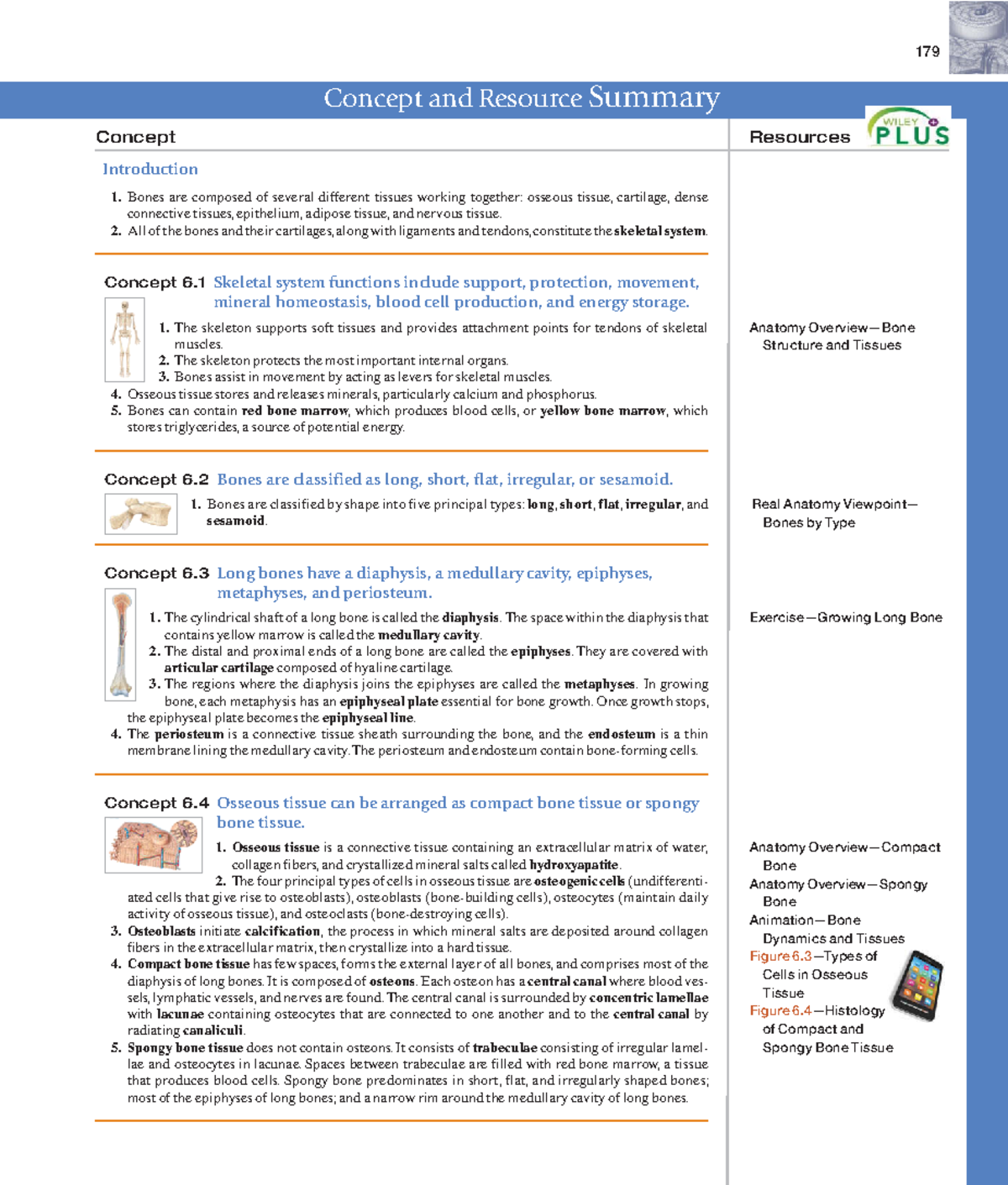 Anatomyandphy-77 - N/A - 179 Anatomy Overview—Bone Structure and ...