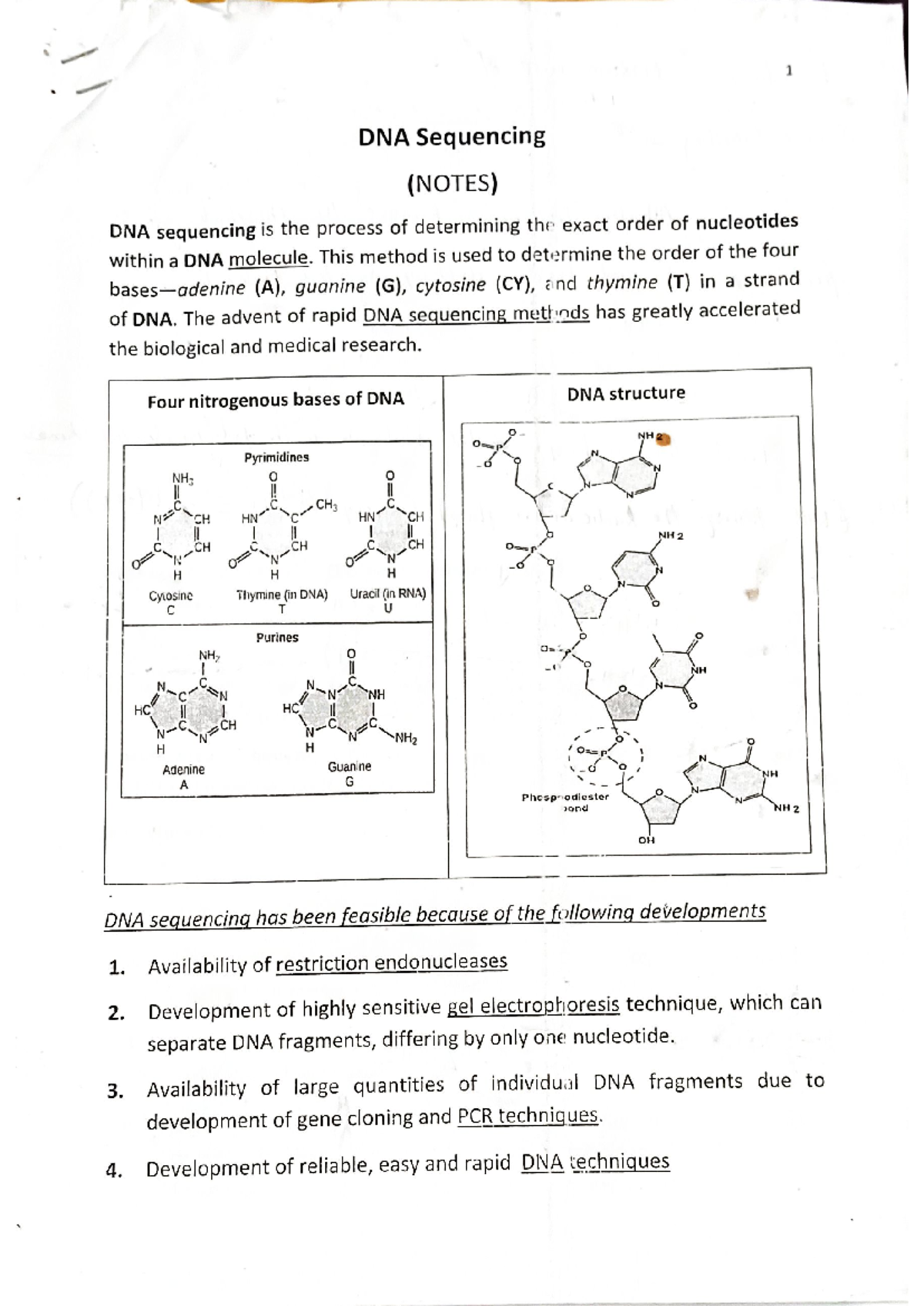 DNA sequencing - This method is used to determine the order of the four ...