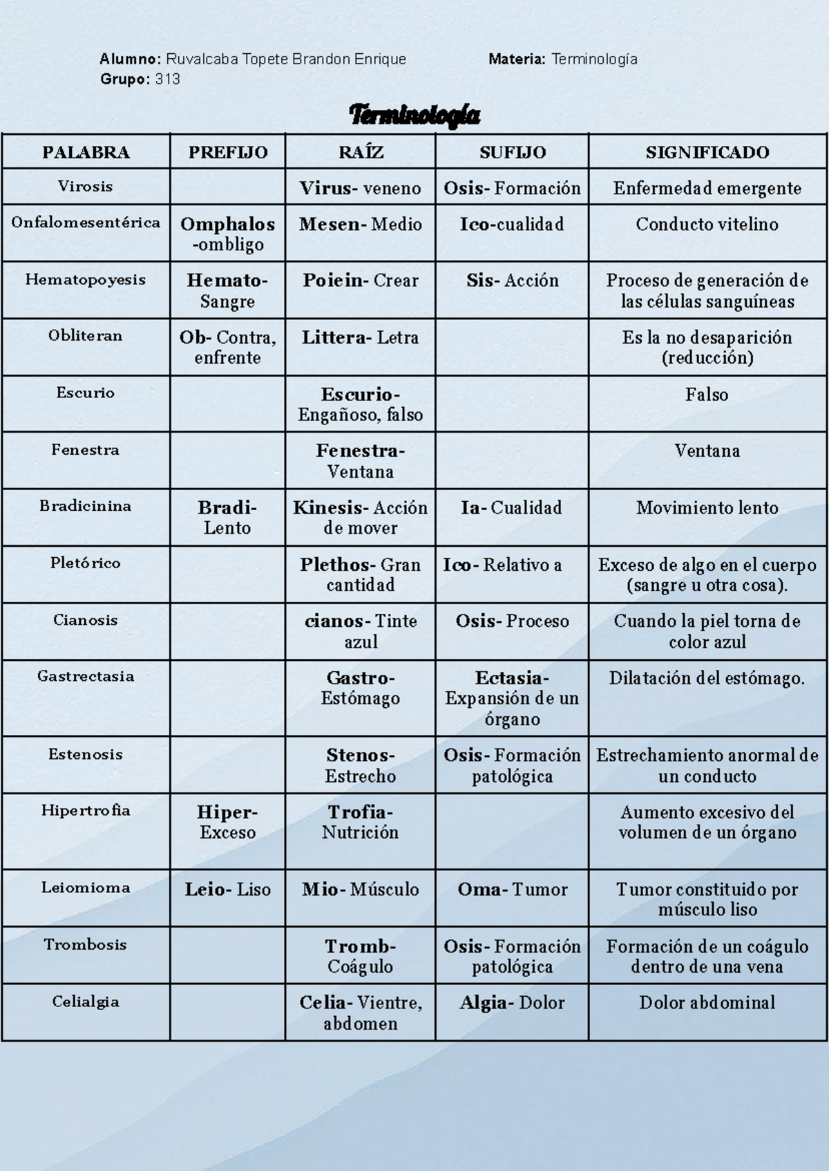Glosario #14 Terminologia - Ruvalcaba Brandon 313 - Alumno: Ruvalcaba ...