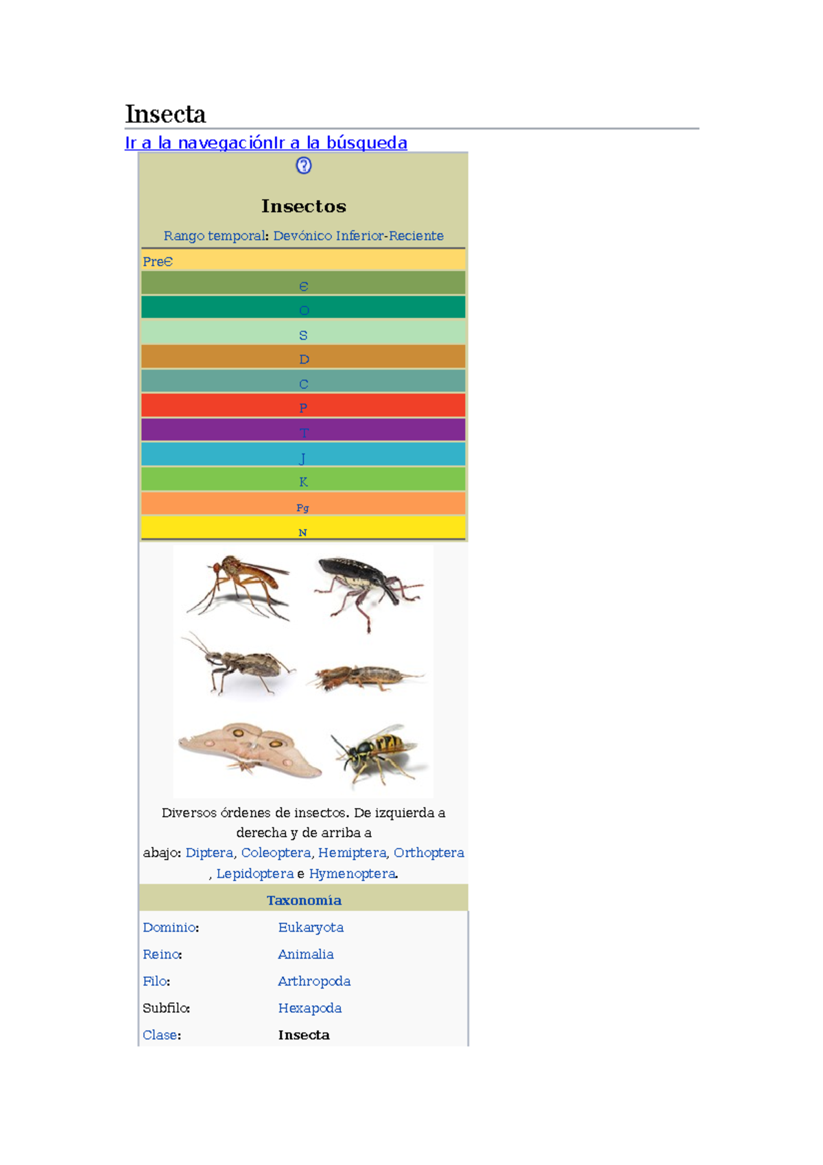 Que es Insecta y sus principales caracteristicas que nos permiten ...