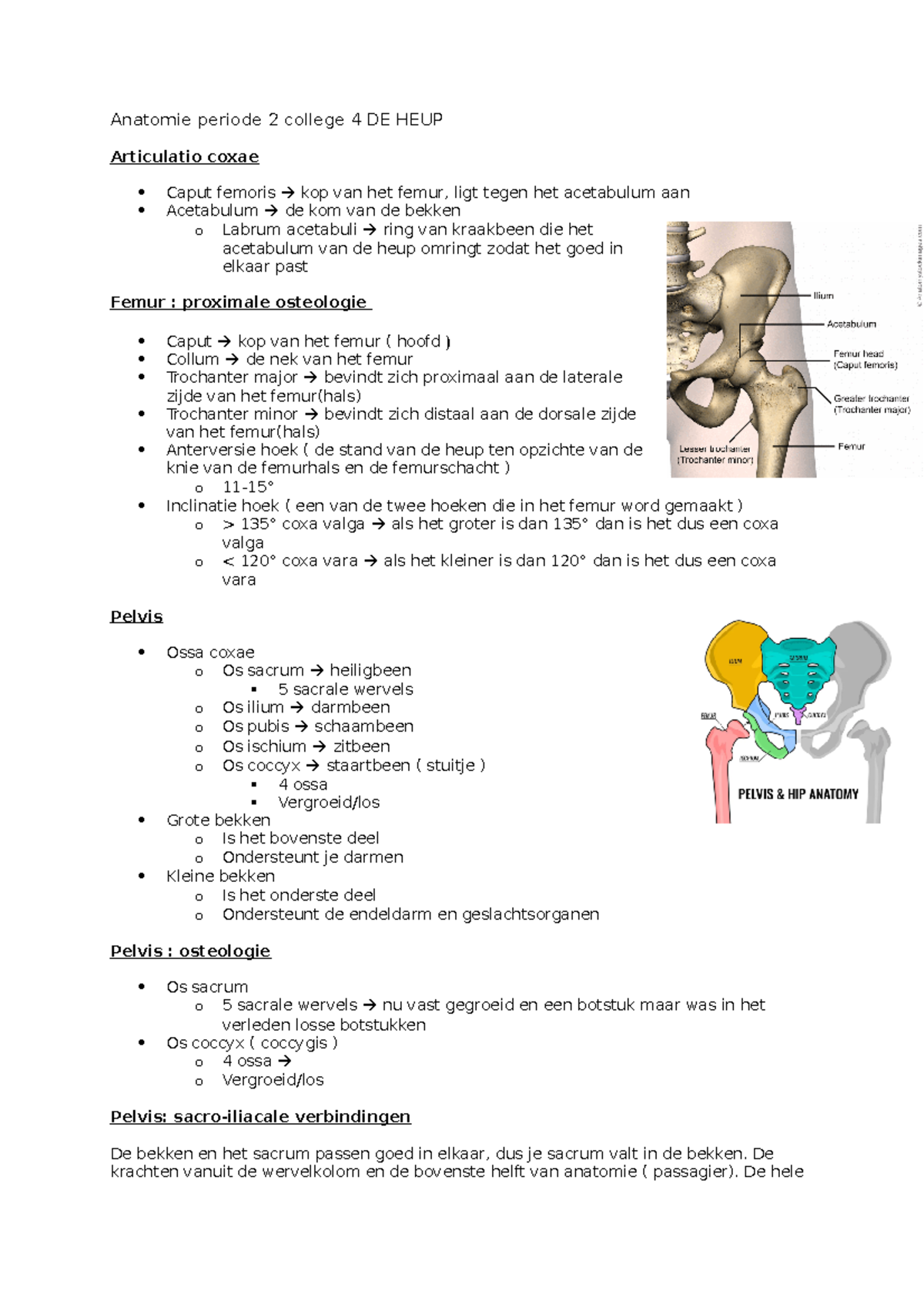 Anatomie periode 2 college 4 DE HEUP - Anatomie periode 2 college 4 DE ...